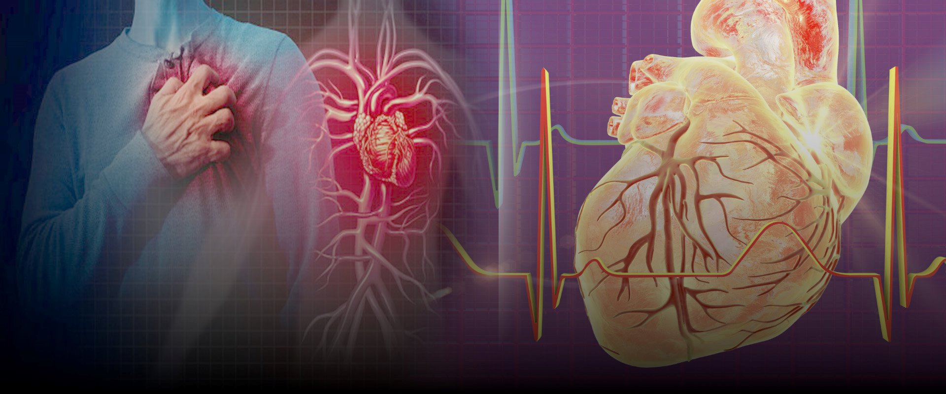 Heart Congress | Heart Conferences | Cardiovascular Care Conferences ...